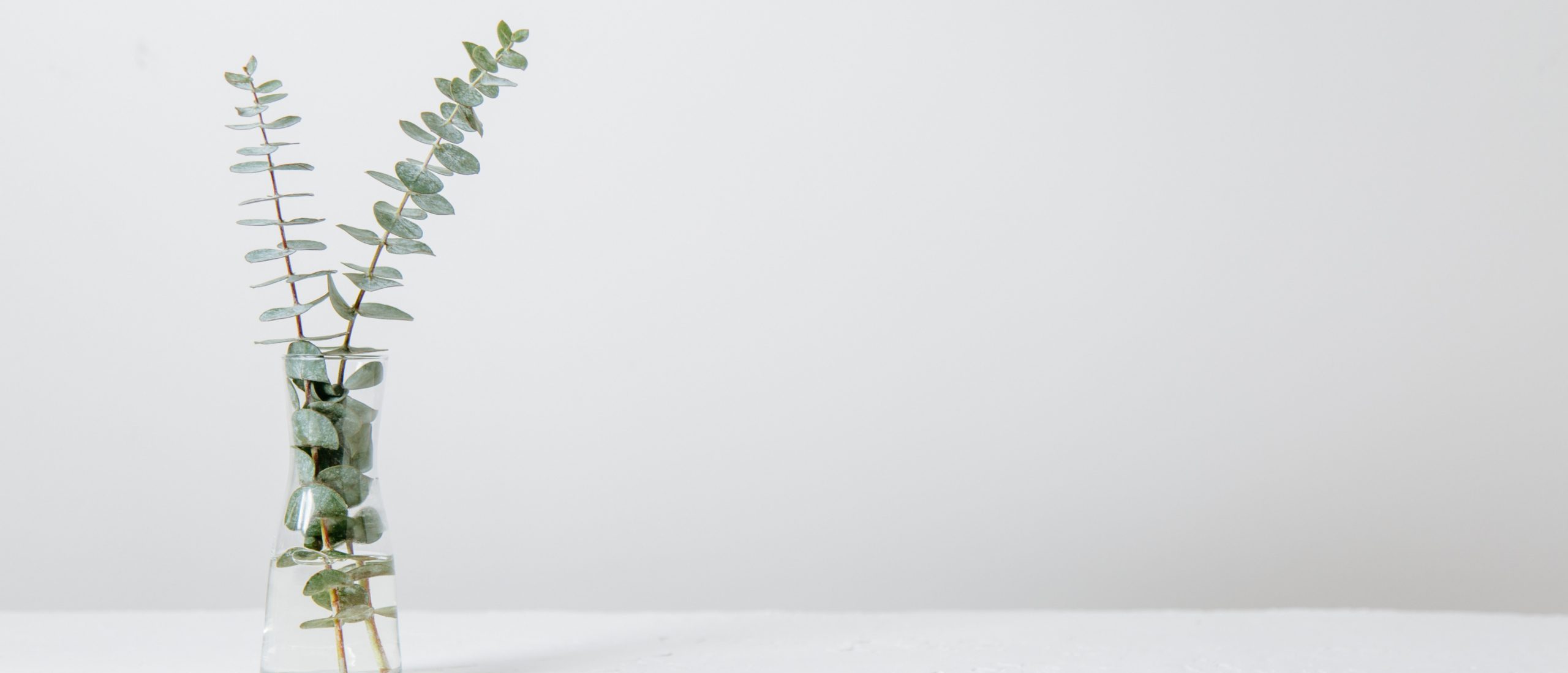 5 Amazing Health Benefits of Fire Cupping - The Clinic Health Group